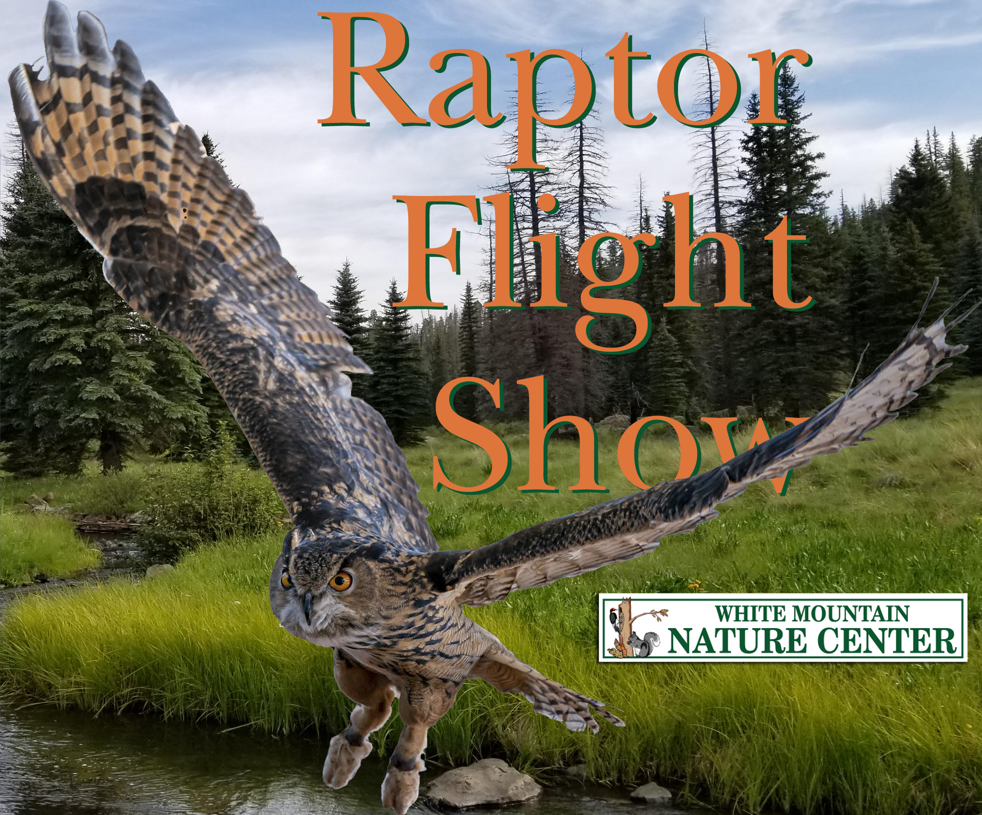 Raptor Show – White Mountain Nature Center