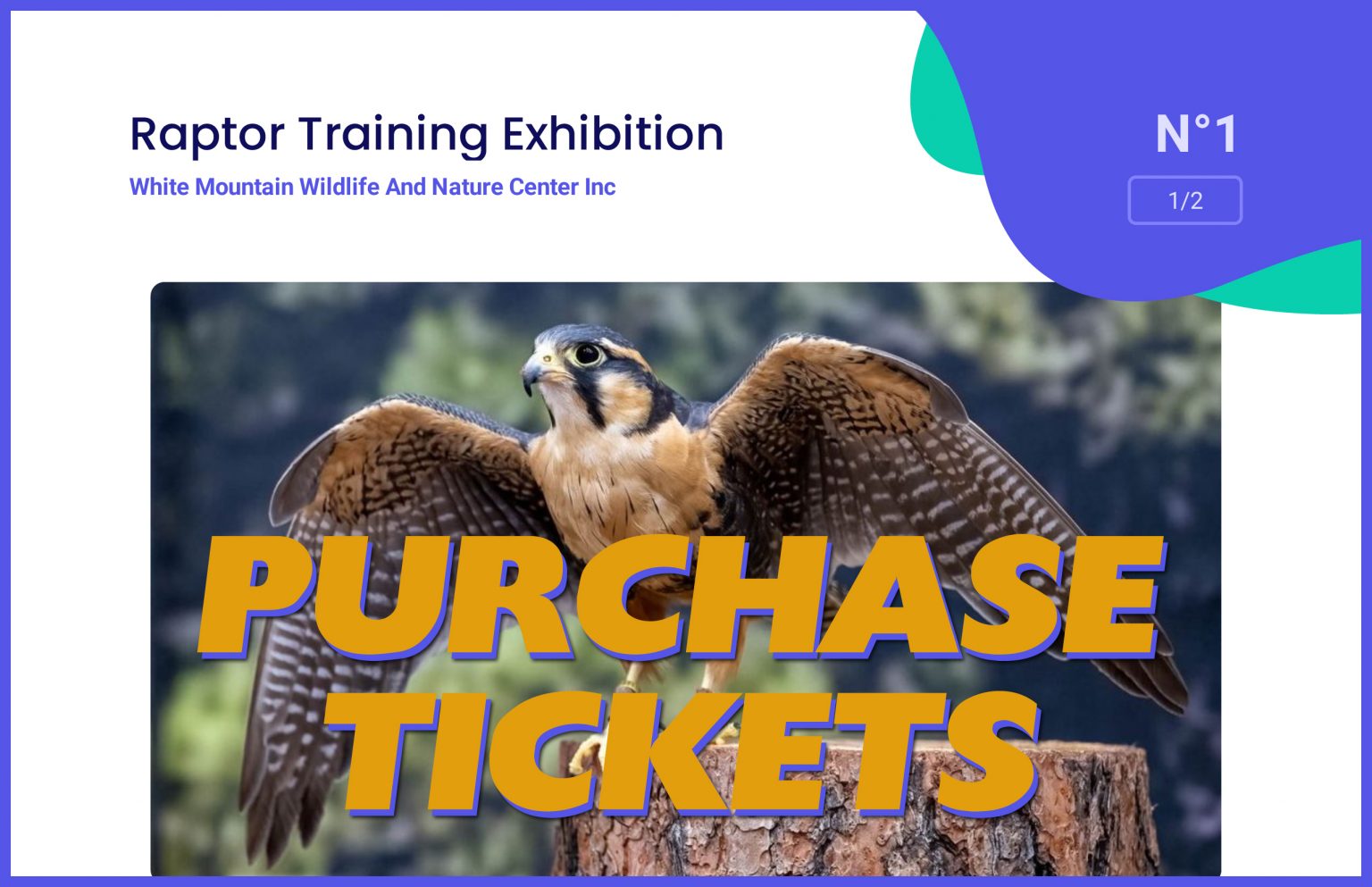 Raptor Show – White Mountain Nature Center