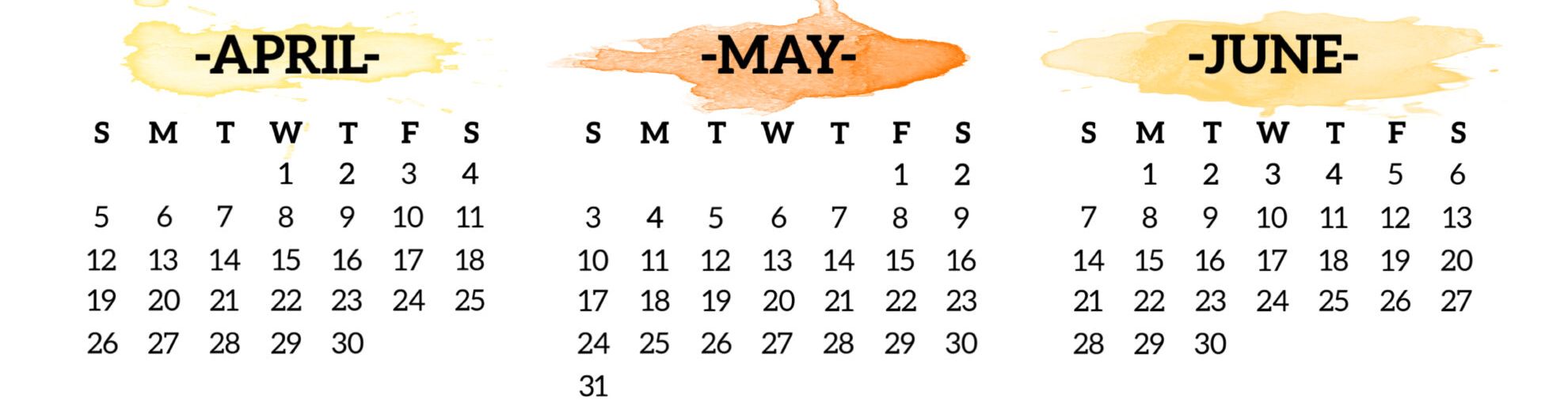Raptor Show Tickets – White Mountain Nature Center